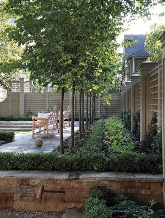 House & Home - 35-40-garden-design-ideas-trees_Julia_West-HH_AP11